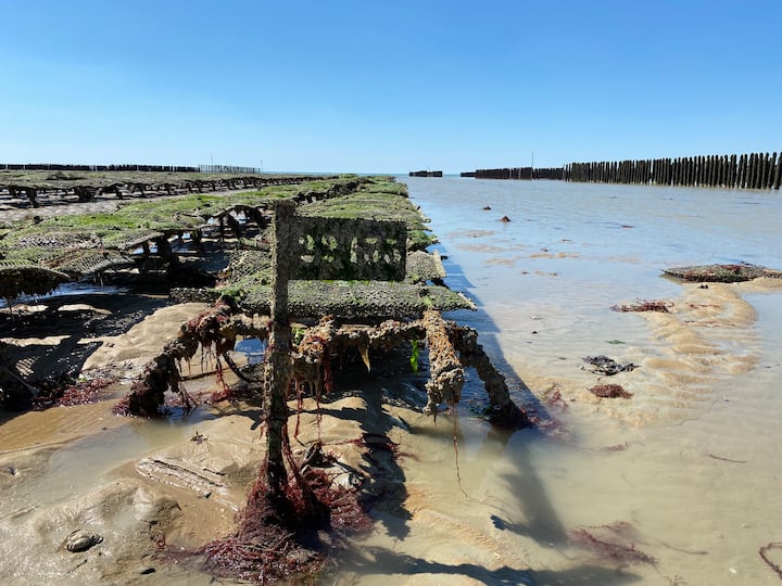 Maison Familiale Au Bord De La Mer…9 Personnes - Coutances