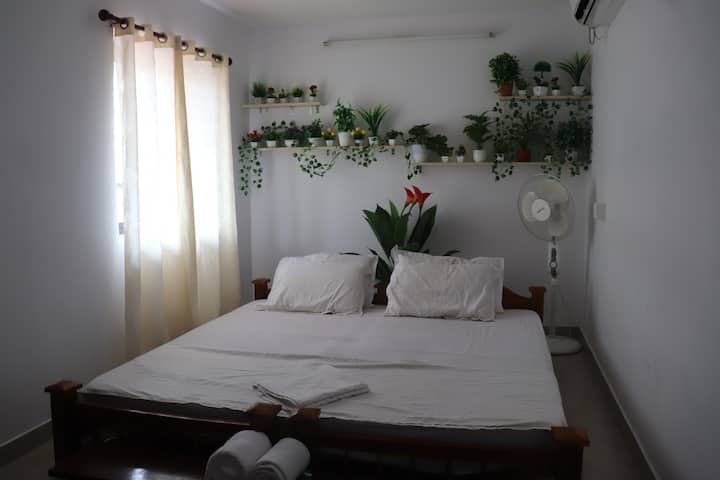 Backwater Wellness Stay | Ayurveda | Canoe Rides - Karunagappalli