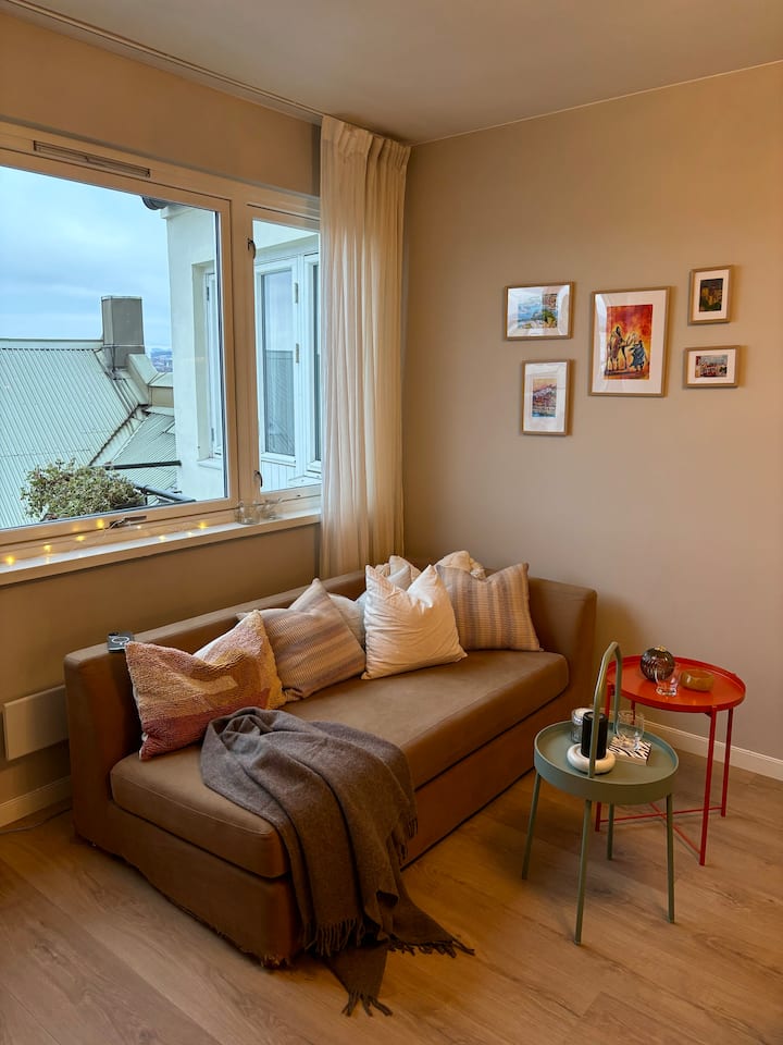 Koselig Og Sentral Leilighet - Oslo