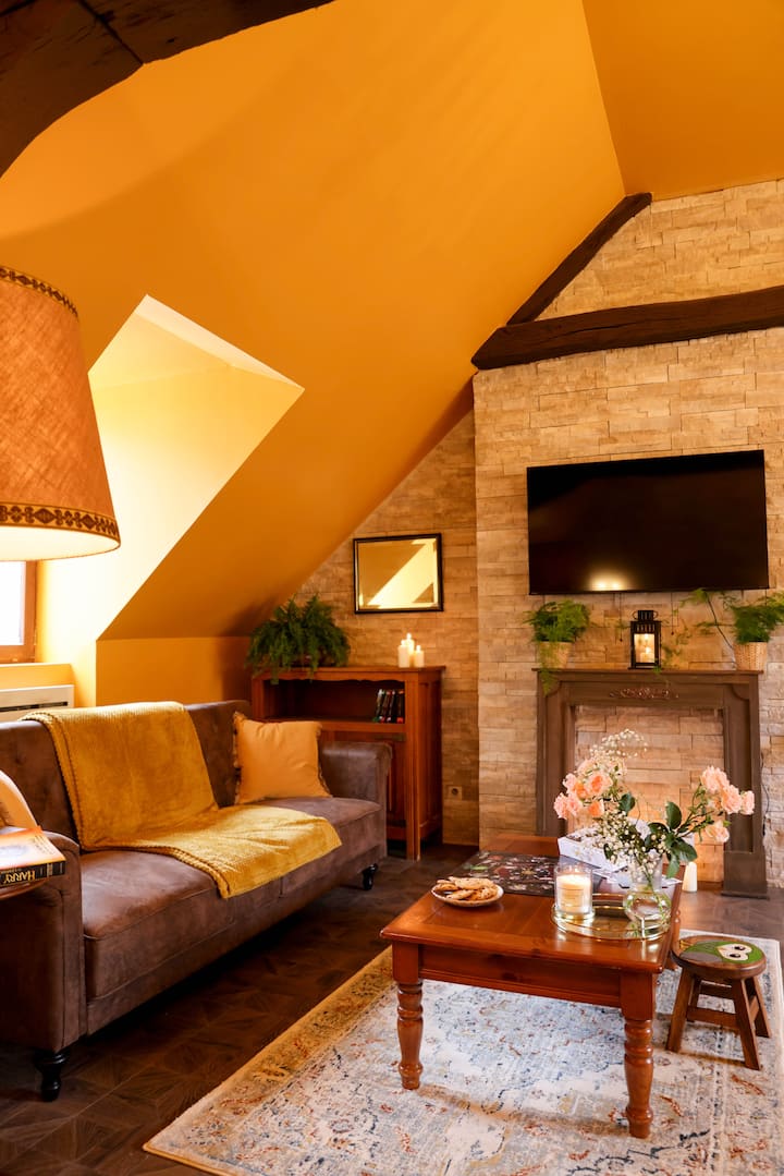 Studio Insolite - Cathédrale Et Centre Historique - Orlean