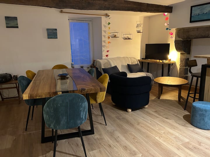 Appartement Cosy Centre Ville De Vannes - Vannes