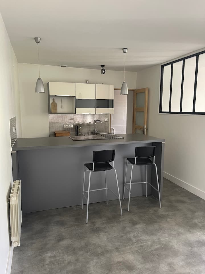 T2 37m² Rochetaillée (69) Bord De Saône - Neuville-sur-Saône