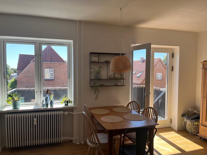 Hyggelig Lejlighed Tæt På Aarhus Universitet - Aarhus