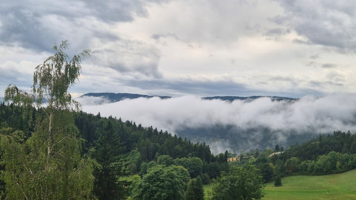 T3 Cosy Tout éQuipé Aux Glovettes, Ski Et Nature - Corrençon-en-Vercors