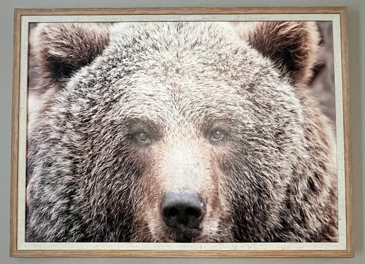 Fireweed - Abilene, TX