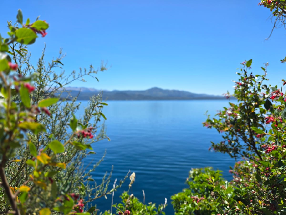 Dream house in front of the lake, Deep Blue - Houses for Rent in San ...