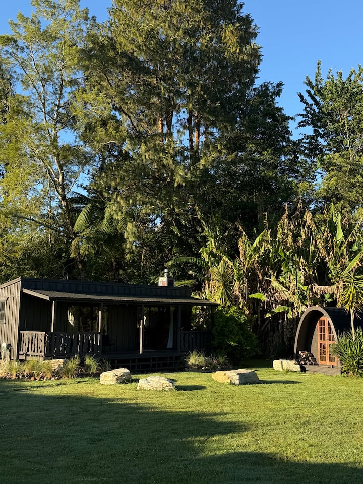 Cosy Cottage Amongst The Trees - Rotorua