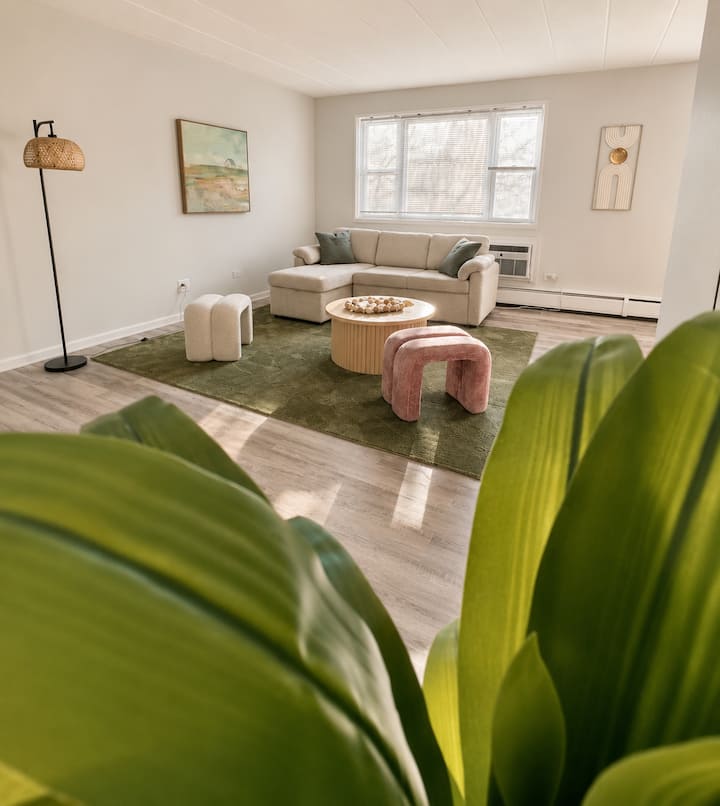 Cozy 1 Br/1ba Apt Chicago- Little India - Chicago