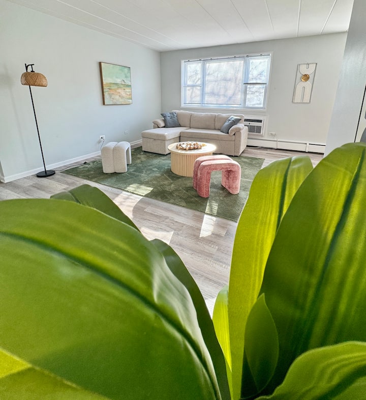 Cozy 1 Br/1ba Apt Chicago- Little India - Chicago