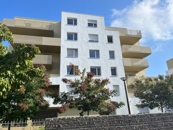 Jolie Chambre Meublée Pour Personne Féminine - Strazburg