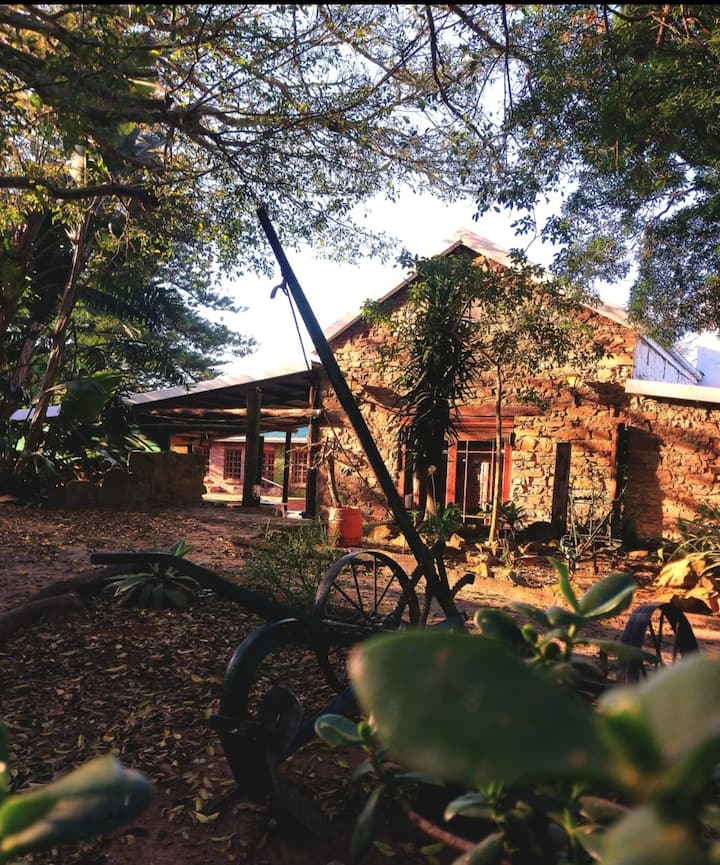 Summer Pine Ranch - Montana - Port Alfred