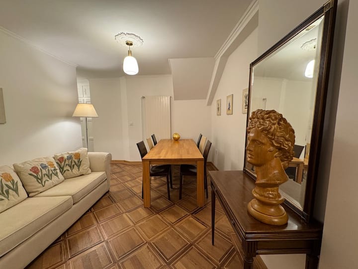 Appartement Les Musées Au Centre De Fribourg - 프리부르