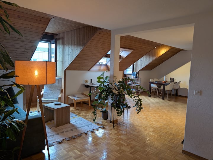 Helle, Gemütliche Wohnung Im Kreis 5 - Zurich