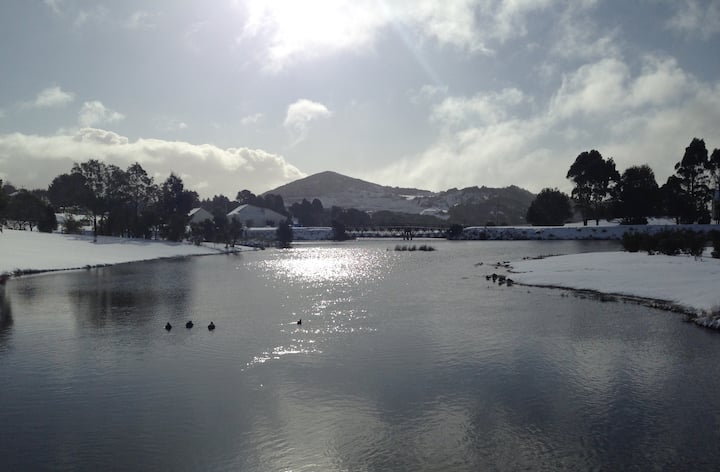 Calcine Cottage - Waratah - Australia