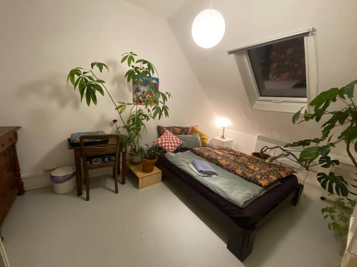 Charmantes, Ruhiges Dachgeschoss Mitten Im Westend - Wiesbaden