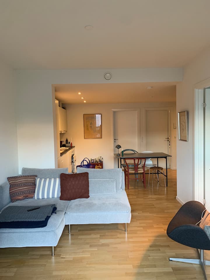 Charmerende Lejlighed På Hyggelige Frederiksbjerg - Aarhus