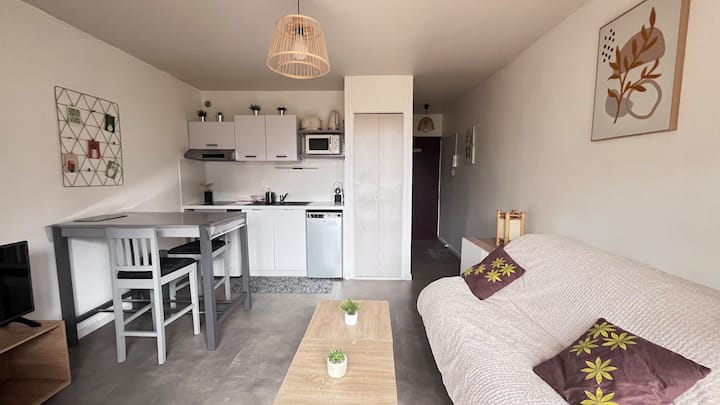 Studio 21 M² Entre Lacs Et Montagnes - Ibis Budget Sallanches
