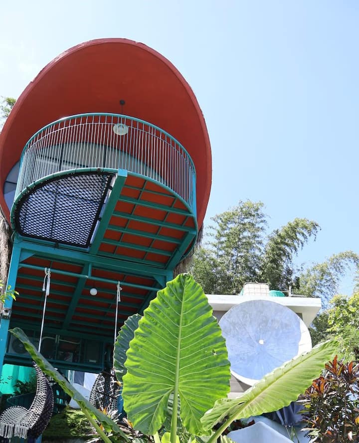 Premium Twin Rooms • Private Pool • Nature View - Wayanad