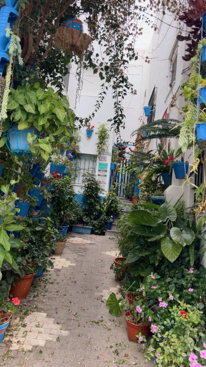 Bonito Apartamento En El Casco Histórico De Conil - Conil de la Frontera