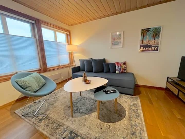 Central And Spacious Apartment - Moss