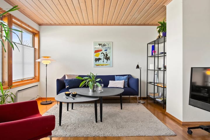 Central And Spacious Apartment - Moss