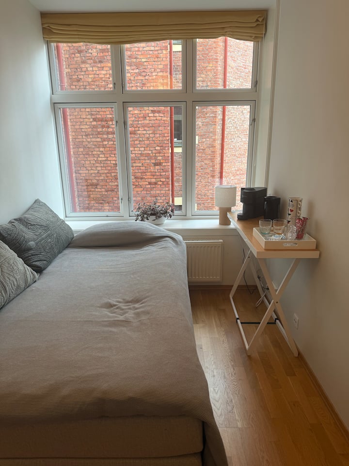 Privat Rom Med Eget Bad, Meget Sentralt I Oslo - 奧斯陸