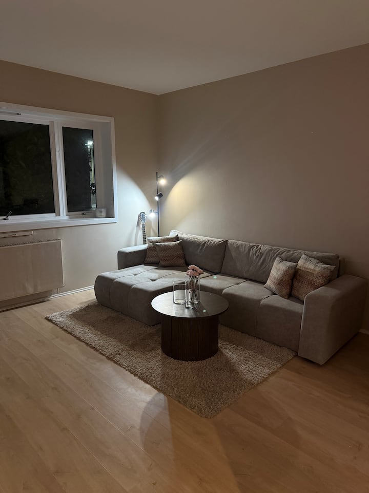 Romslig 2 Roms Leilighet I Sentrum Av Oslo - Oslo