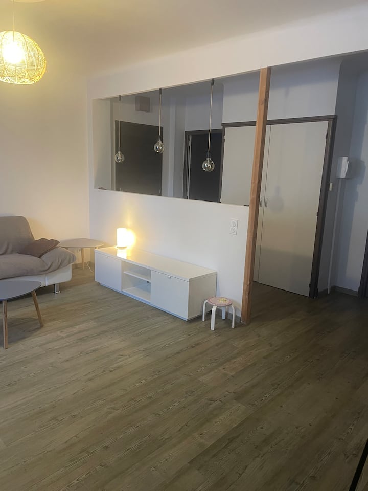 Joli T3 Lumineux Proche Centre - ibis Budget Millau Viaduc