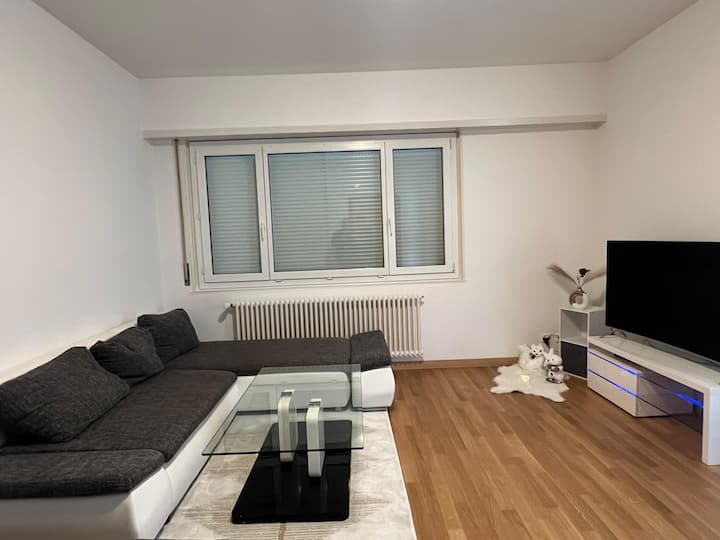Studio Moderne Et Spacieux De 35 M 2 - Morges