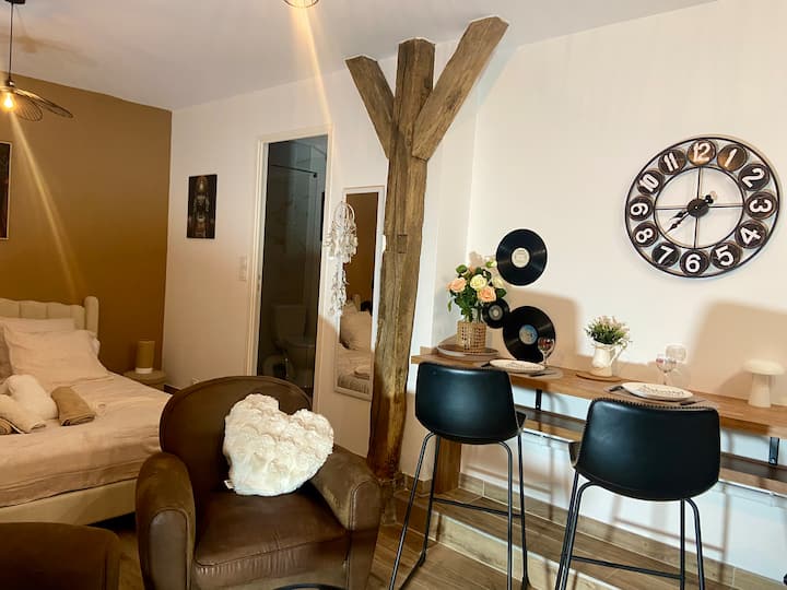 Studio « Cosy »Dans Les Granges D Un Château - Varennes-Vauzelles