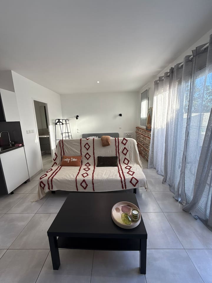 Appartement Climatisé N8 - Castanet-Tolosan