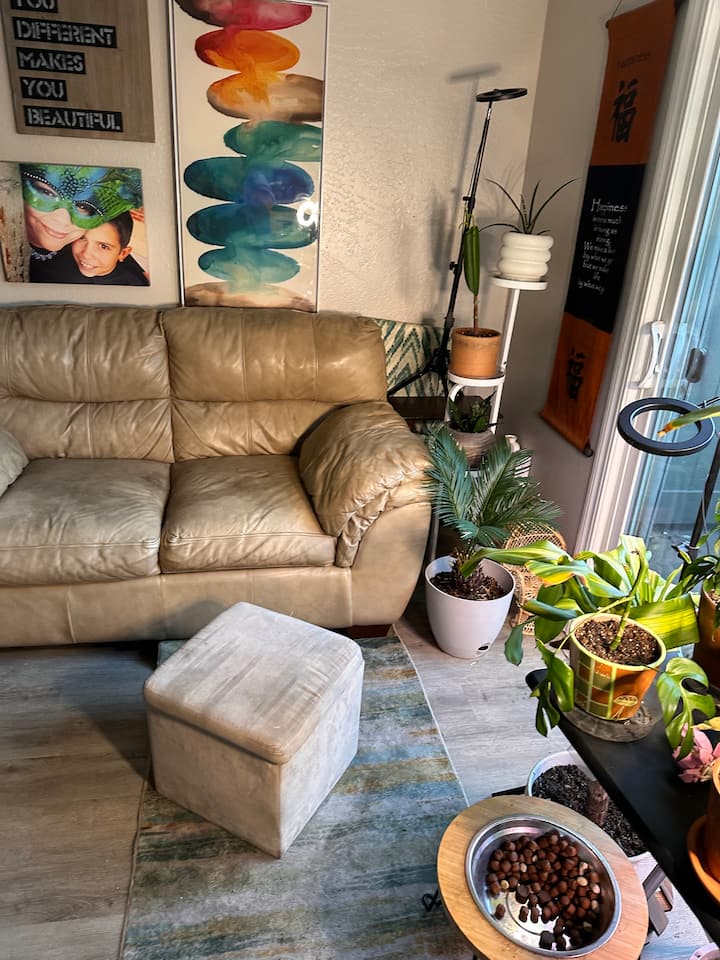 Luna's One-bedroom Chalet - Circus Circus Reno