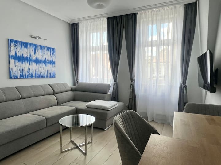 Klimatyczne Mieszkanie W Doskonałej Lokalizacji - 포즈나뉴