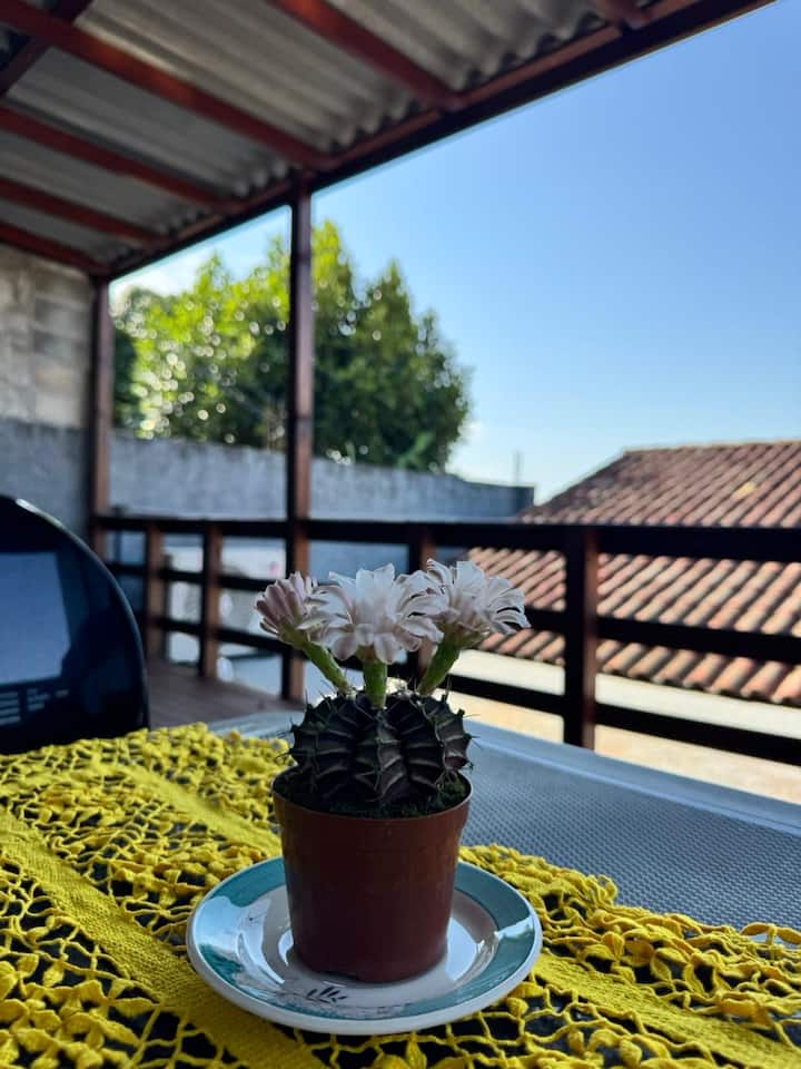 Cantinho Dos Manézinhos - Florianópolis