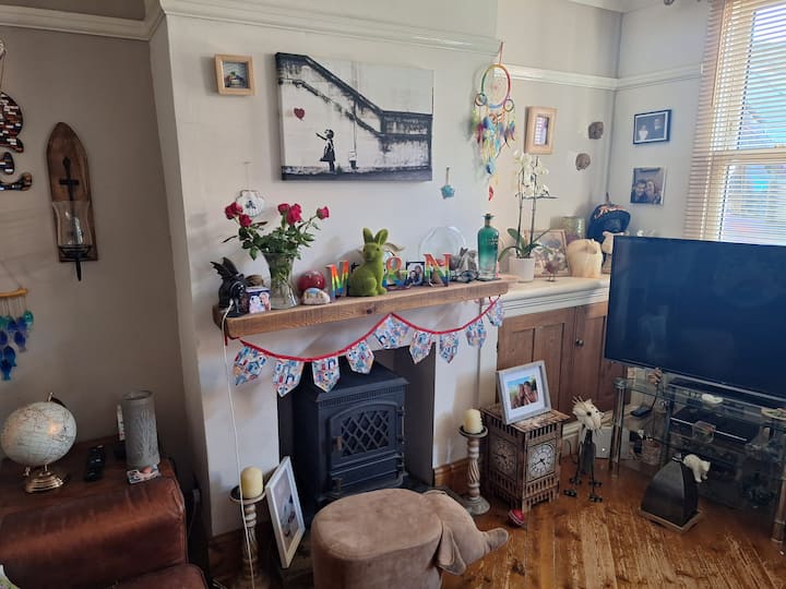 Quirky Terraced House In A Quiet Leafy Street - Leicester