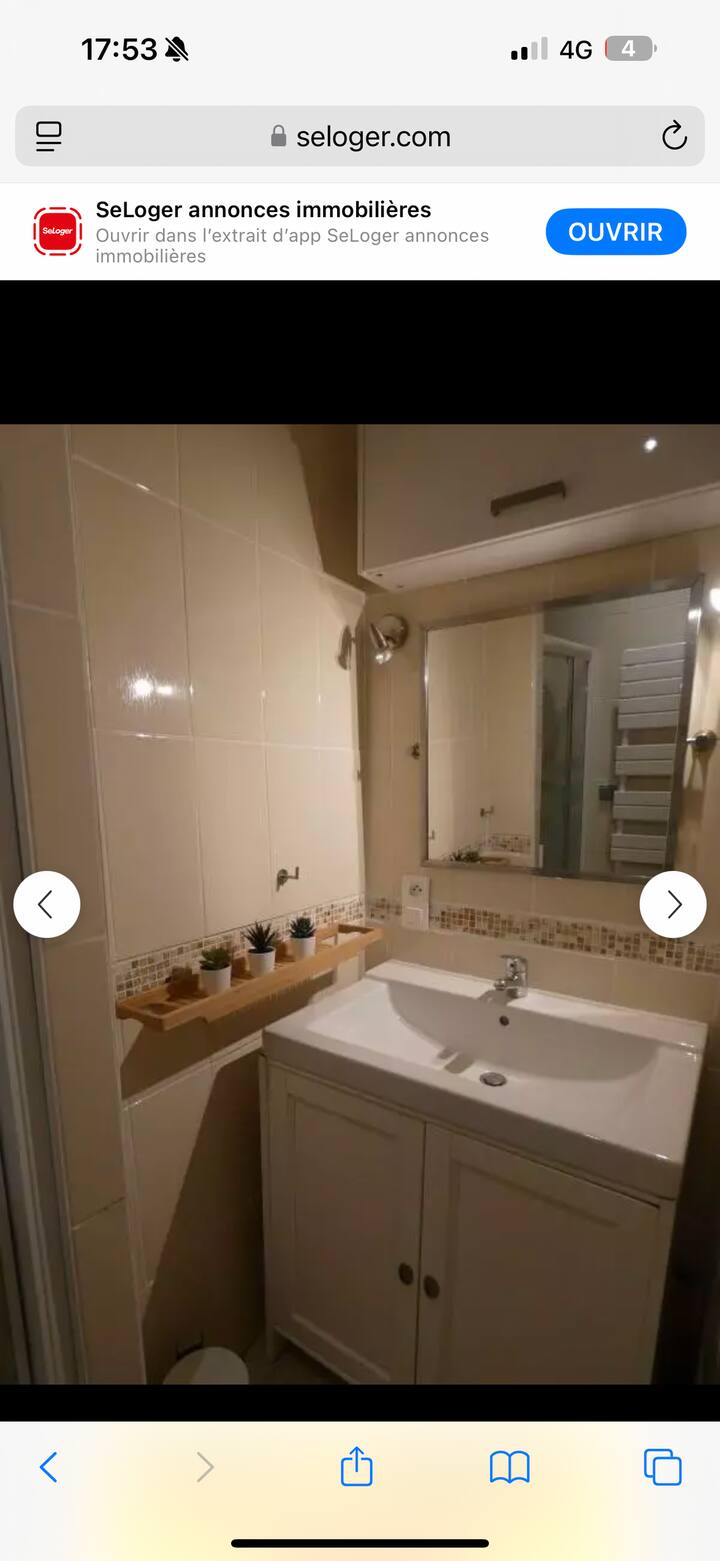 Le Grand Chanoine - Lyon