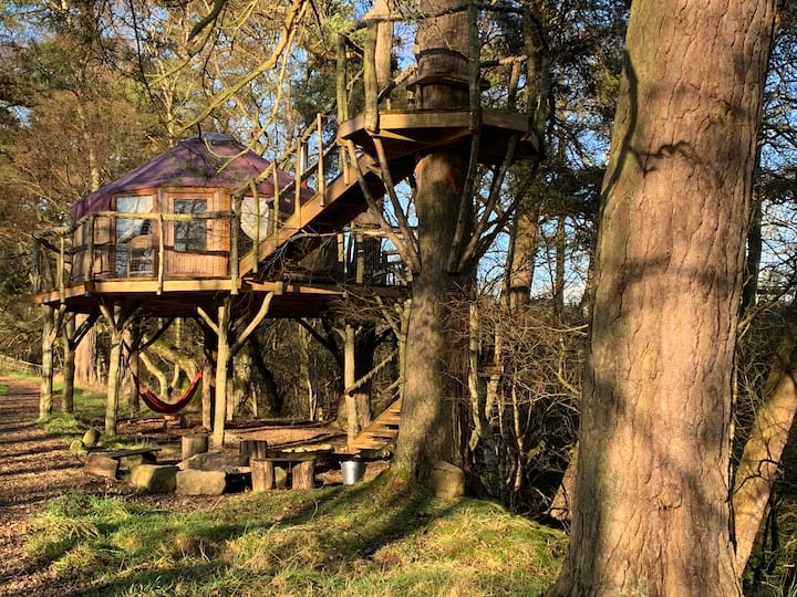 A Stunning Off Grid Treehouse Yurt - Northumberland