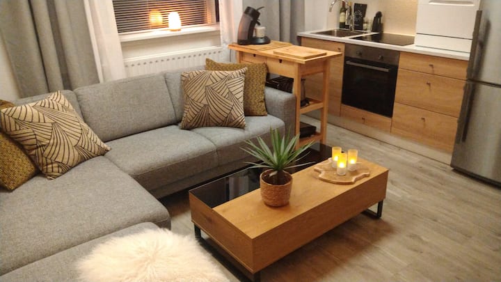 Cosy Studio Apartment Near Keflavik Airport - Aéroport de Reykjavík Keflavík (KEF)