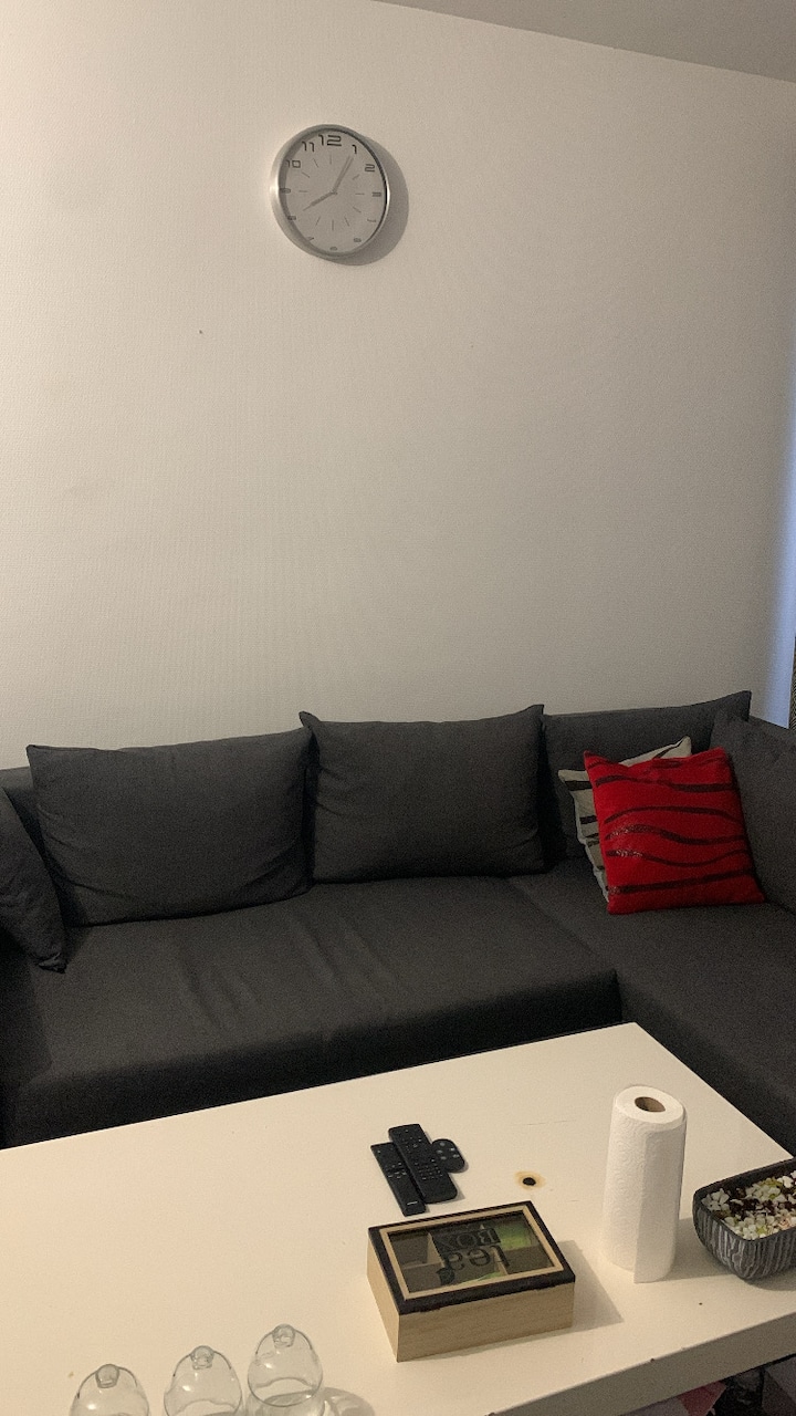 Appartement 3 Pièces à Louer Entièrement - Antony