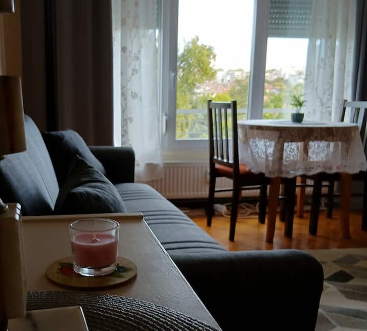 City View Studio – Central Pleven Park - Plevna