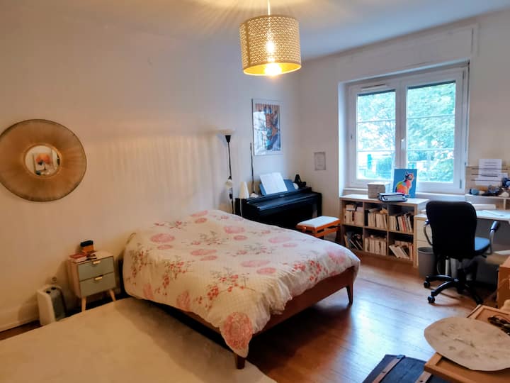 Grande Chambre Près Du Centre - Vendenheim