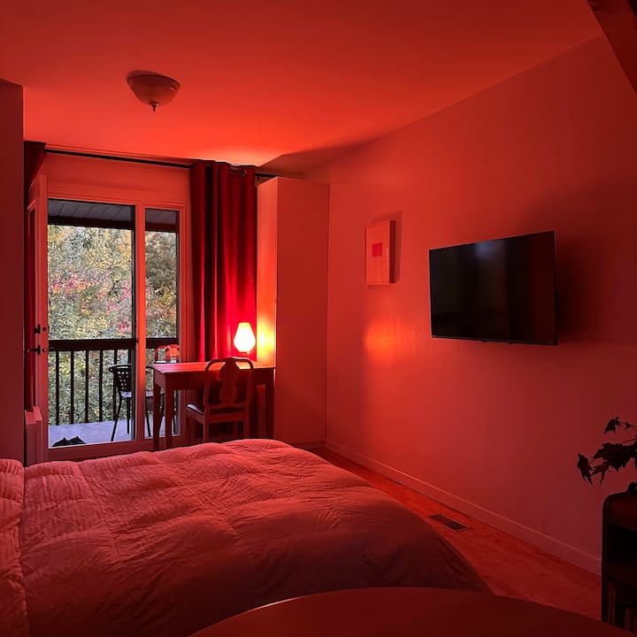 Studio Restauré Avec Balcon Au Cœur De Chicoutimi - Saguenay