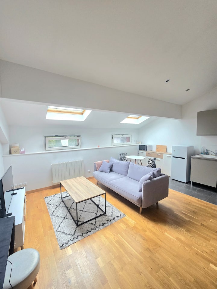 Charmant T2 Lumineux - Calme & ÉQuipé - Sainte-foy - Lyon