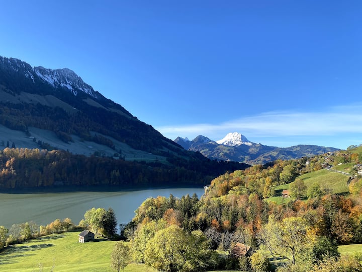 Appartement Chaleureux Avec Vue Imprenable - La Roche