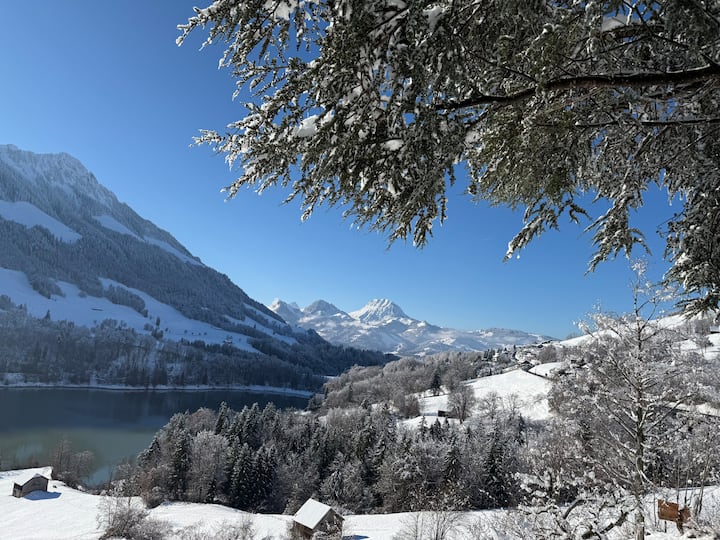 Appartement Chaleureux Avec Vue Imprenable - Rougemont