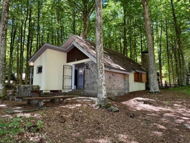Chalet In Affitto Sul Monte Amiata - Monte Amiata