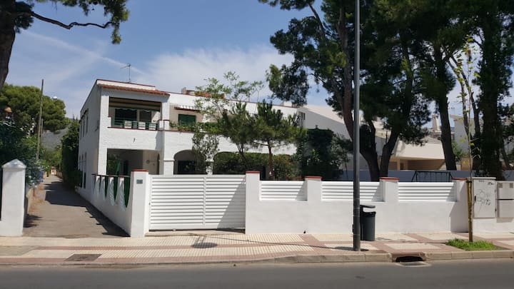 Villa Feli Apartamento 2 - Castellón de la Plana
