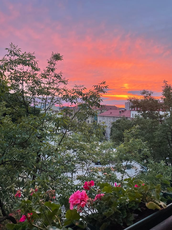 Elegant City-center Retreat With Balcony - Vilnius