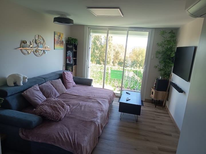 Chambre Privée Avec Salle De Bain à Tarbes - Tarbes