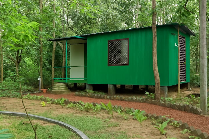 Jhargram Forest Container | Romantic Nature Stay - Odisha